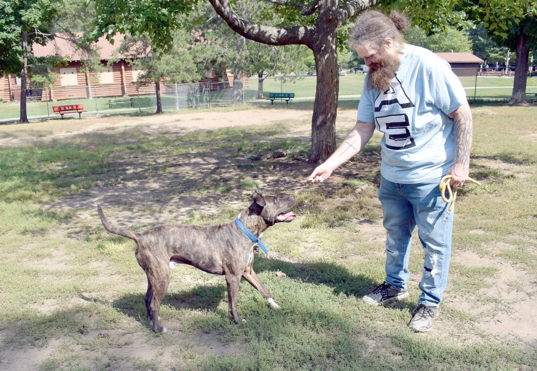 A romp in the dog park | News, Sports, Jobs - The Daily News